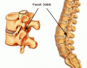 Spinal Movement: Facet Joints