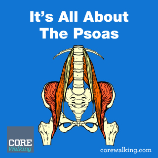 Its All about the Psoas | CoreWalking