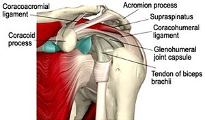 Strengthening the Rotator Cuff