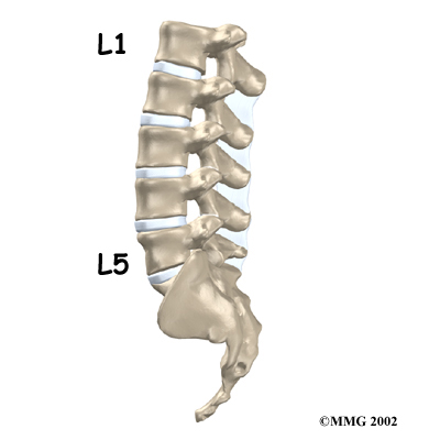 lumbar_anatomy03 | CoreWalking