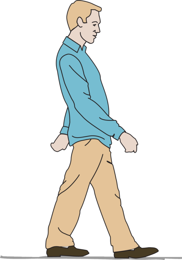 The Role of the Psoas in Walking