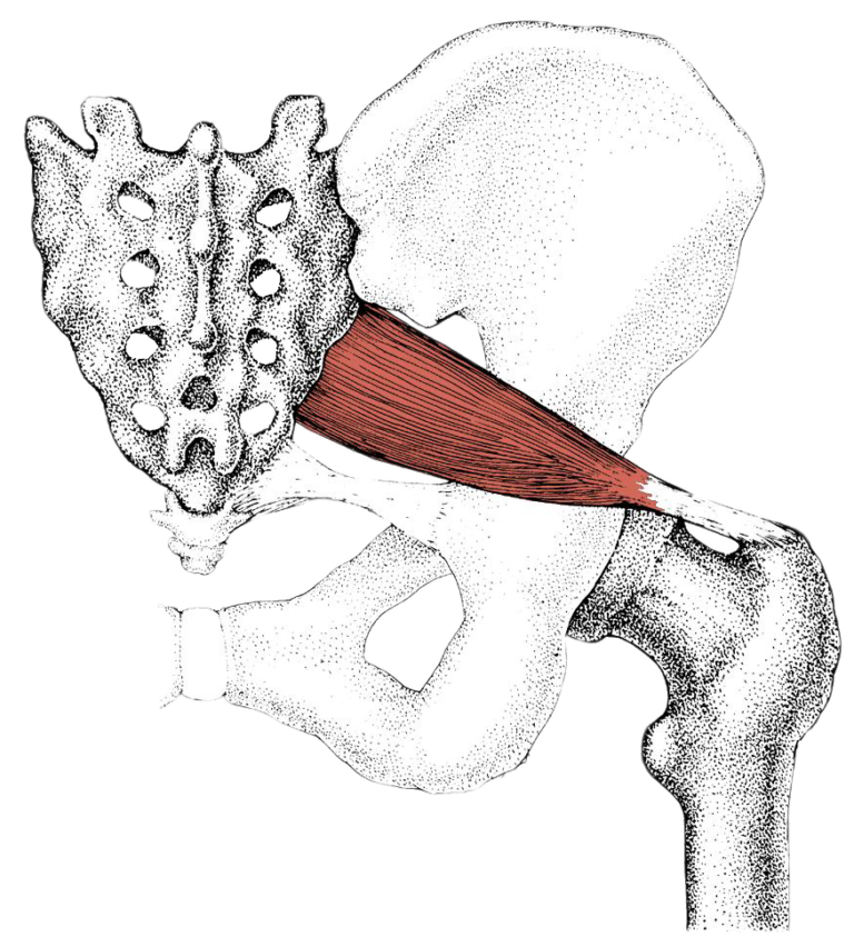 Stop Accommodating Your Psoas When Sleeping.