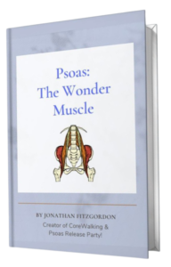 Psoas: The Wonder Muscle Book | CoreWalking